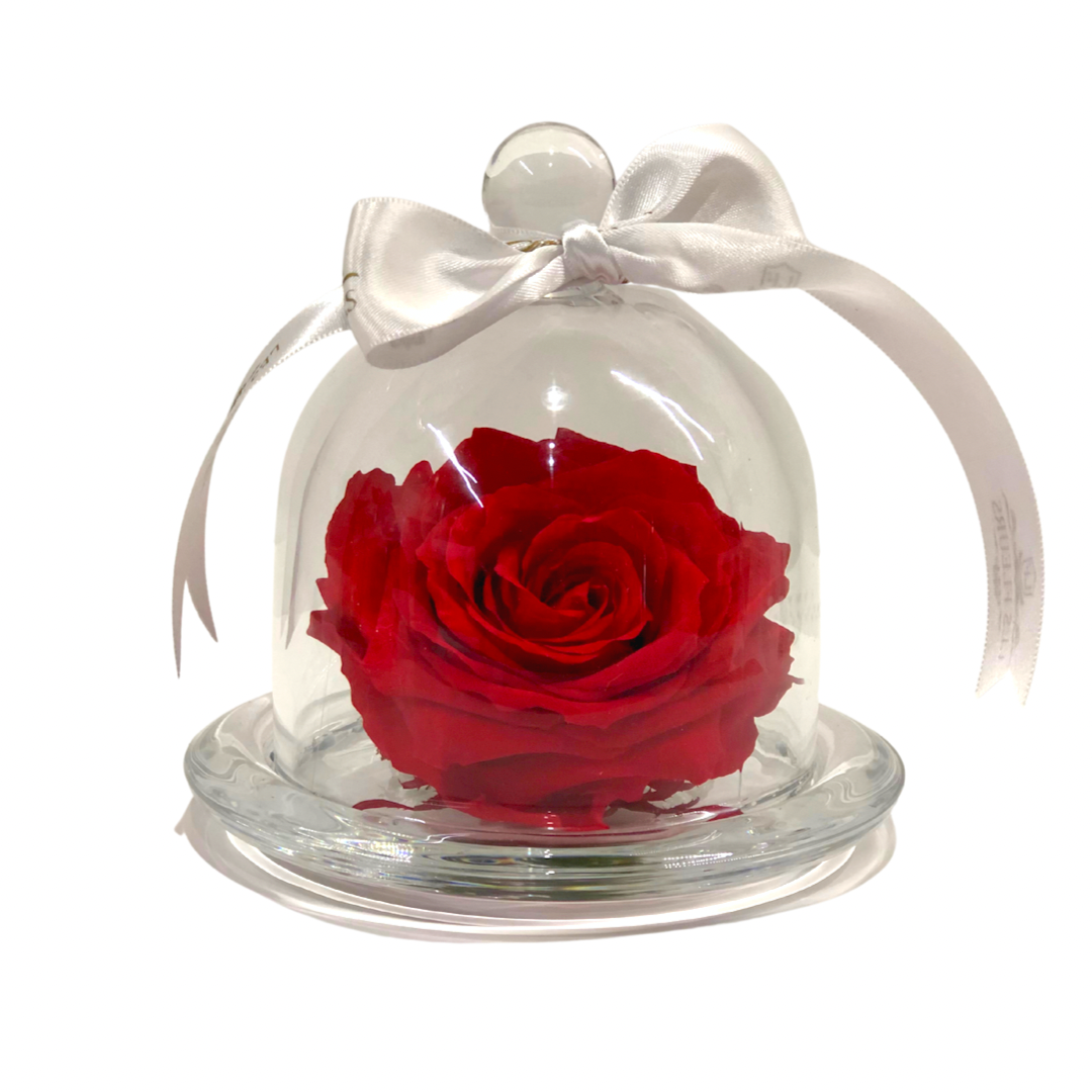 Rosa Eterna - capelo cristalino – Les Fleurs